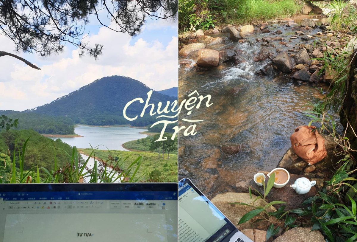 Chuyện trà - Ahimsa House